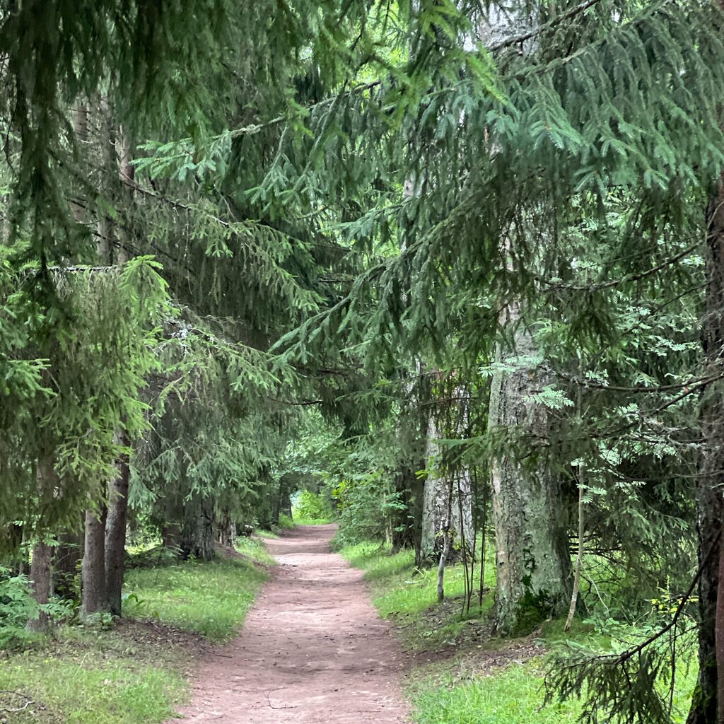 Arazi dizisi Петербургские просторы, Saint‑Petersburg ve Leningradskaya oblastı, foto