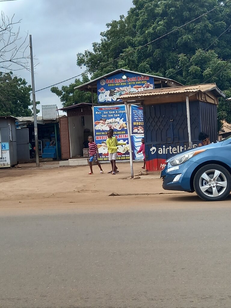 Dondurulmuş gıda firmaları Red Apple Cold Room, Dünya, foto