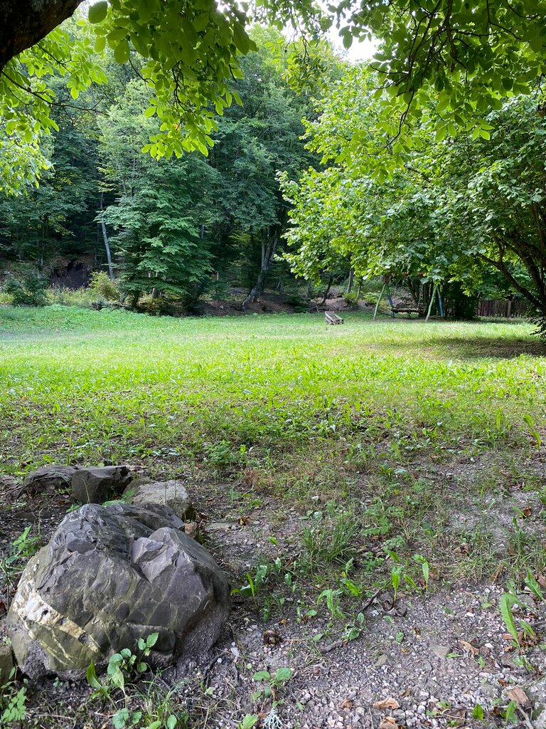 Kamp alanları Лесная поляна, Kırım Cumhuriyeti, foto