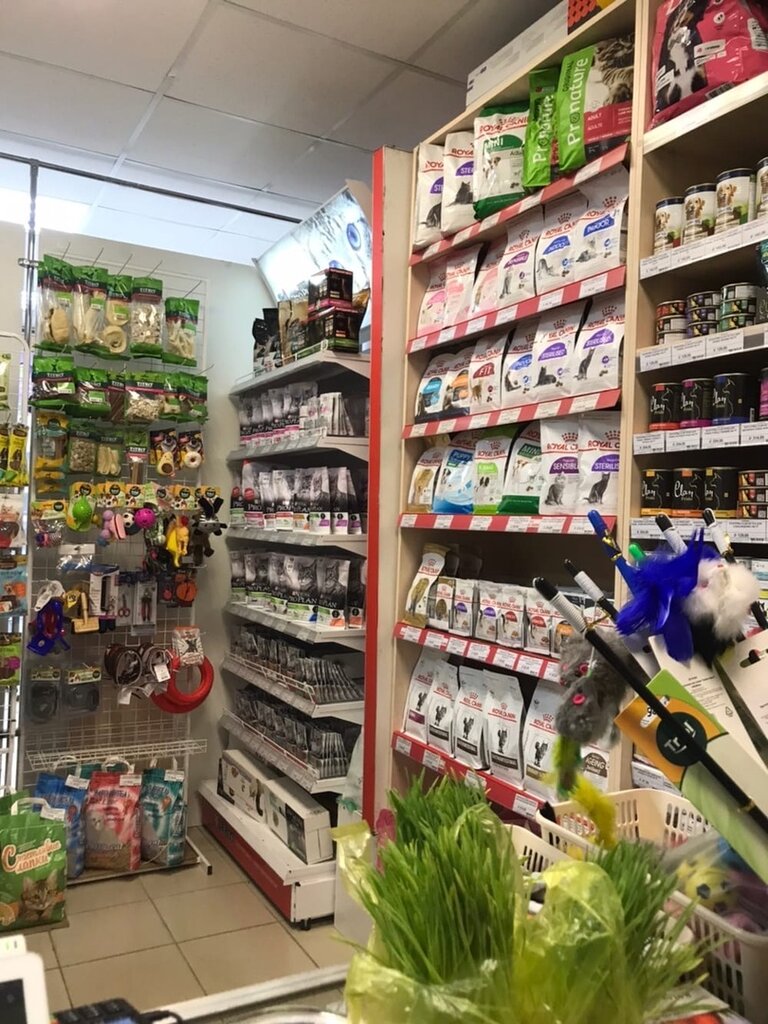 Petshop Petsco, Saint‑Petersburg, foto