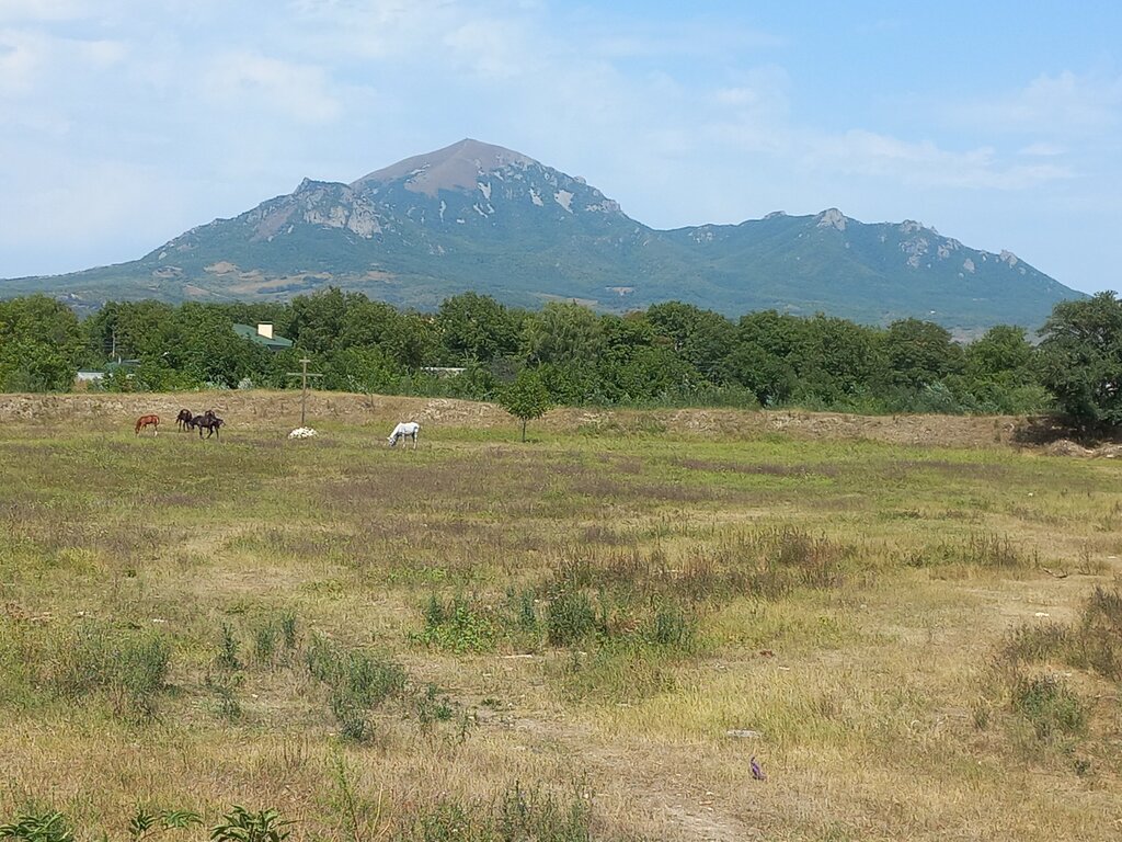 Turistik yerler Константиногорская крепость, Pyatigorsk, foto