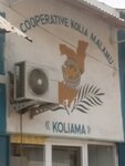 Coopérative kolia Malamu (Brazzaville, Rue Likouala Bis), tapu ve kadastro  Brazzaville'den