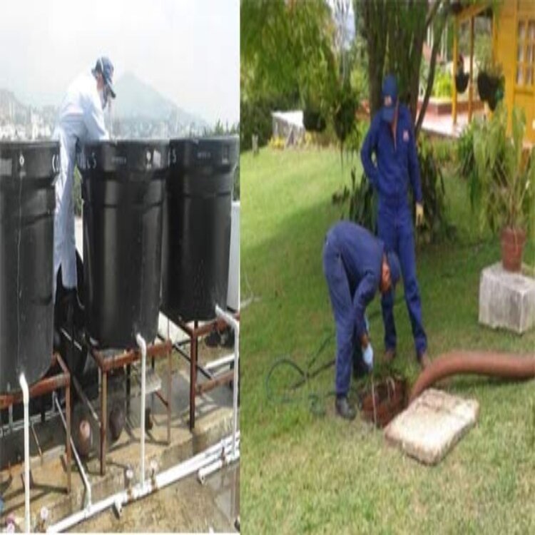 Sondaj çalışmaları Sanidad Móvil del Valle S. A. S, Cali, foto