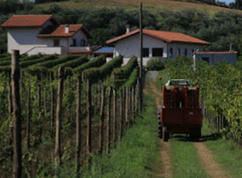 Bar Azienda Biologica De Sanctis, Lazio, foto
