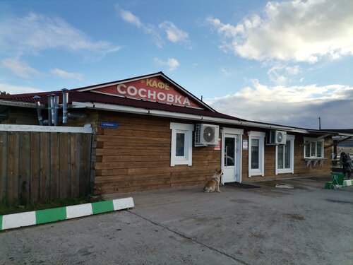 Kafe Сосновка, Buriatya, foto