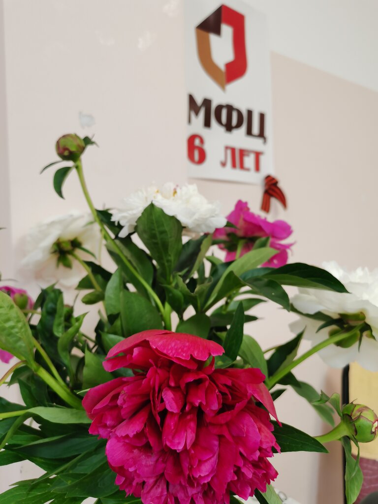 Belediye ve kamu hizmetleri merkezi MFTs Moi dokumenty, Ust‑Ilimsk, foto