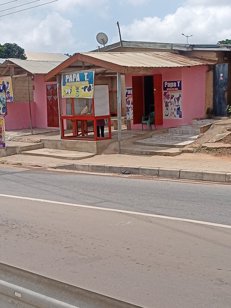 Kasap, şarküteri Papa T, Dünya, foto