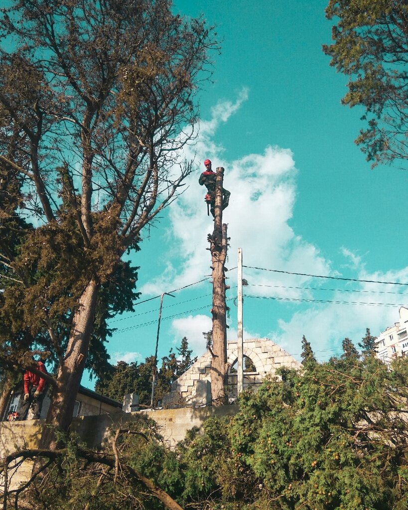i̇nşaat firmaları Dobr Bobr Grad, Bahçesaray, foto