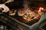Weber (Fermerskaya ulitsa No:1А, selo Podstepki), tatil ve piknik için ürünler  Samarskaya oblastından