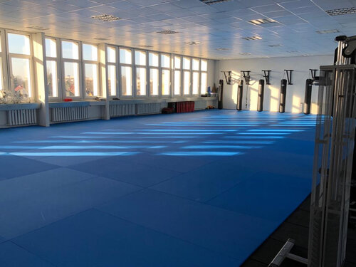 Spor ve eğlence merkezi Schutzinstinkt GmbH, Magdeburg, foto