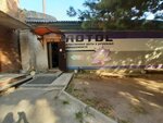 Lotos (Mochishchenskoye shosse No:1к3), yapay bitki ve çiçek  Novosibirsk'ten