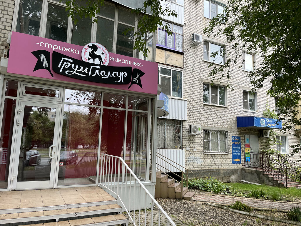 Evcil hayvan kuaförleri GroomGlamur, Nevinnomissk, foto