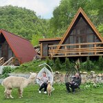 Альпака (Rechnaya ulitsa No:2А, posyolok Musht), otel  Karaçay‑Çerkez Cumhuriyeti'nden