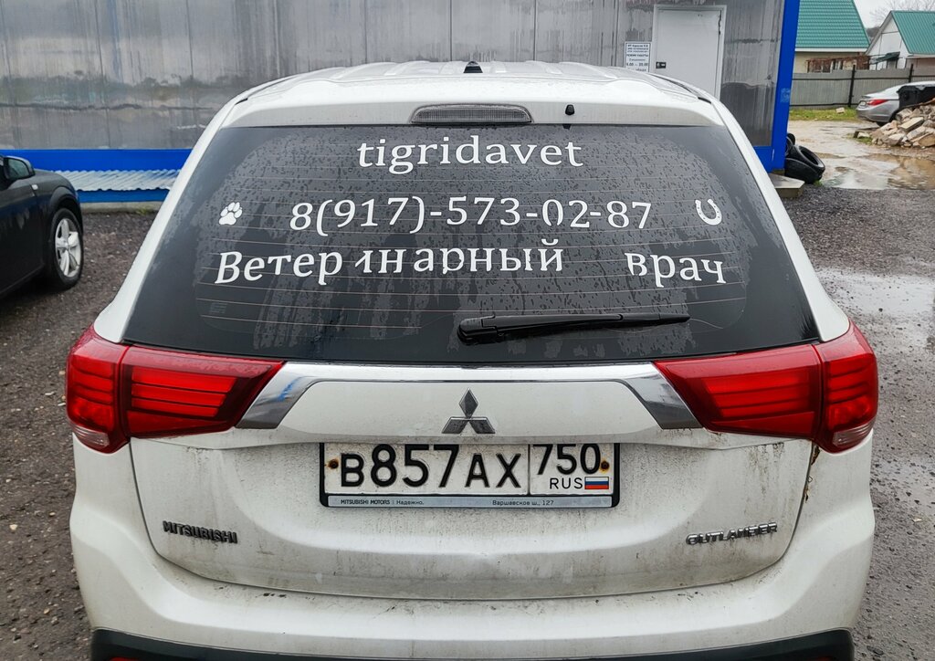 Veteriner klinikleri TigridaVet, Stupino, foto