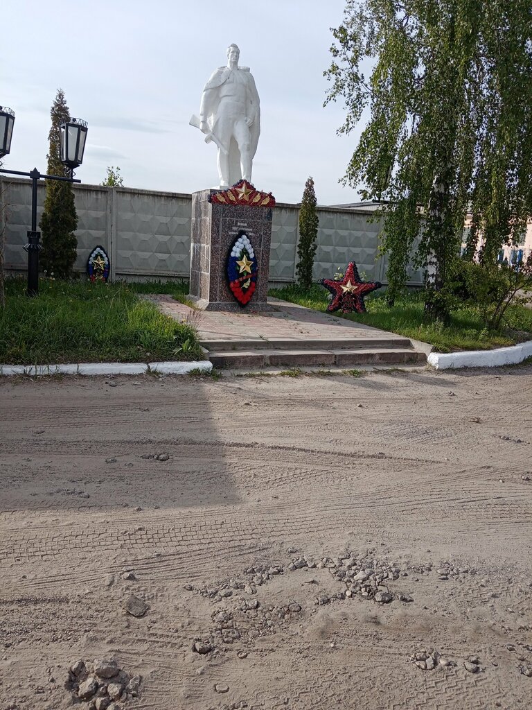 Anıt, heykel Воинам 380-ой стрелковой дивизии, освободившим города Орёл, Orel, foto