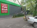 Shoe repair (Tole Bi Street No:113), ayakkabı tamiri  Almatı'dan