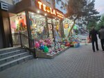 Tesla (Qacaq Nеbi Street No:12), çocuk oyunları ve oyuncakları  Bakü'den