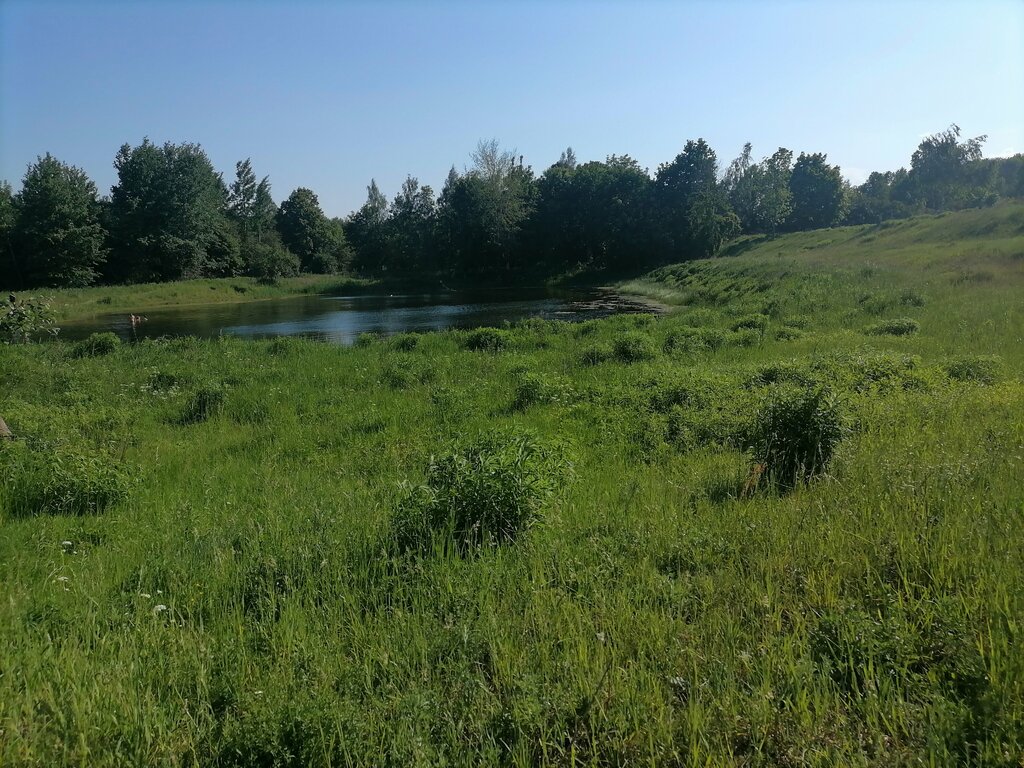 Turistik yerler Бывший немецкий бассейн, Kaliningradskaya oblastı, foto