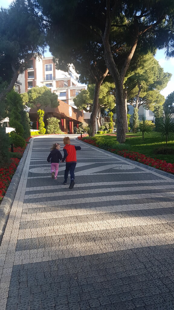 Seyahat acenteleri Rozovy slon, Krasnodarski krayı, foto