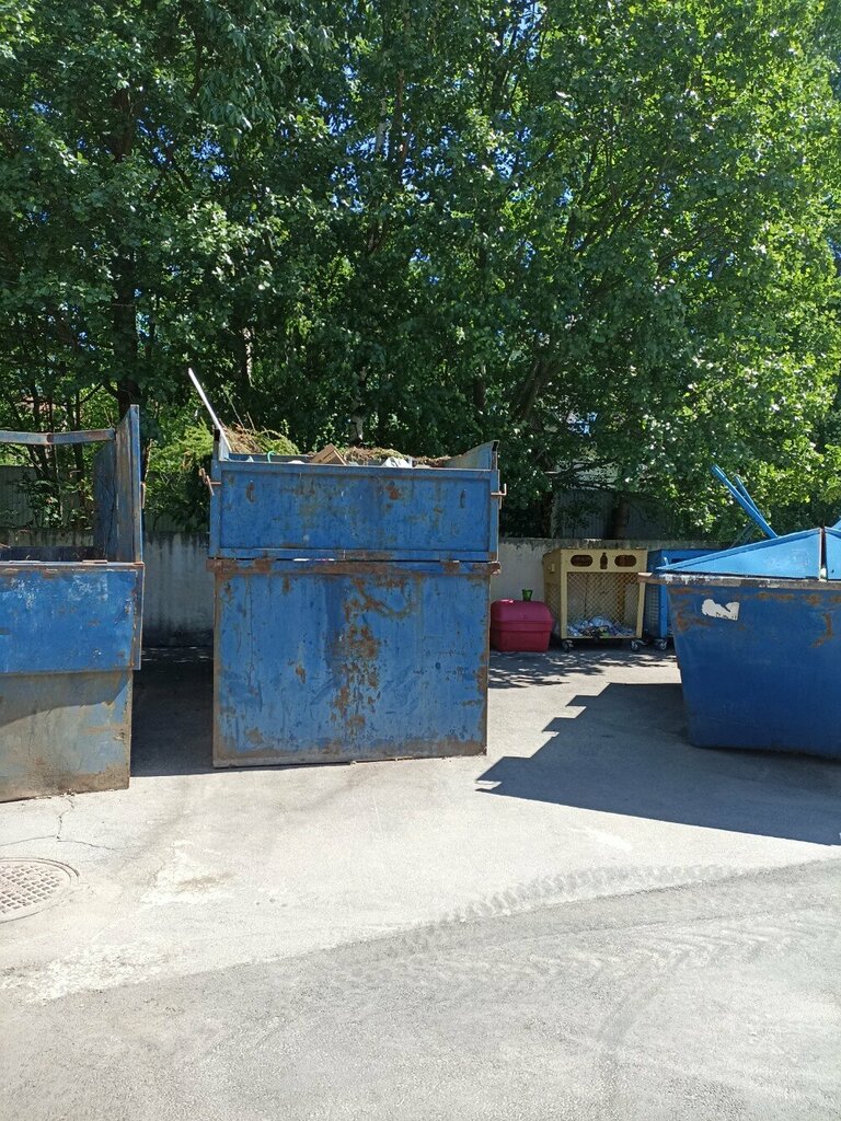 Ayrı çöp toplama noktası Пункт приёма стекла, Sestroretsk, foto