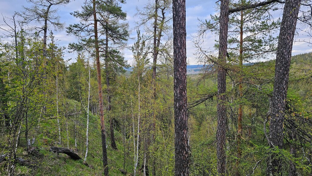 Dağ zirvesi Скала, Sverdlovskaya oblastı, foto