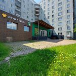 Boksi go (ulitsa Ordzhonikidze No:28), evcil hayvan kuaförleri  Novokuznetsk'ten