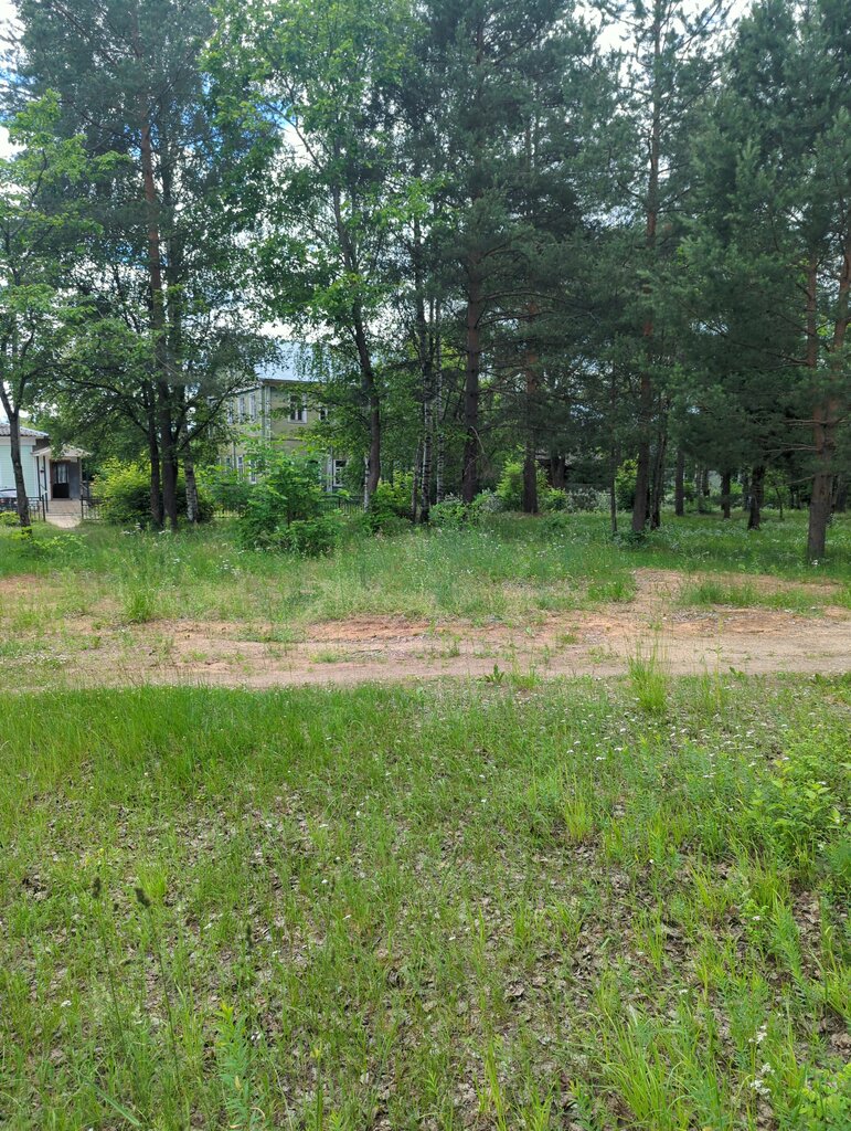 Oyun alanı Playground, Vesegonsk, foto