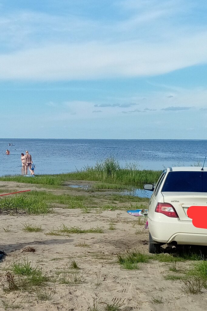 Plaj Пляж, Vologodskaya oblastı, foto