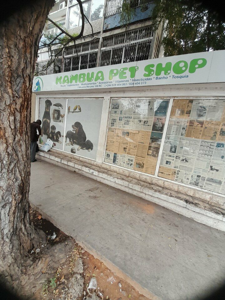 Petshop Kambas pit shop, Loanda, foto