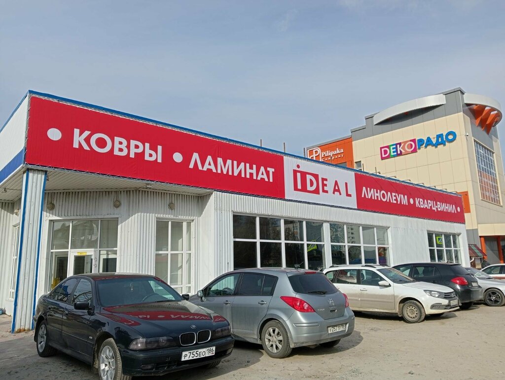 Zemin döşeme üretim ve satış firmaları Ideal, Nijnevartovsk, foto