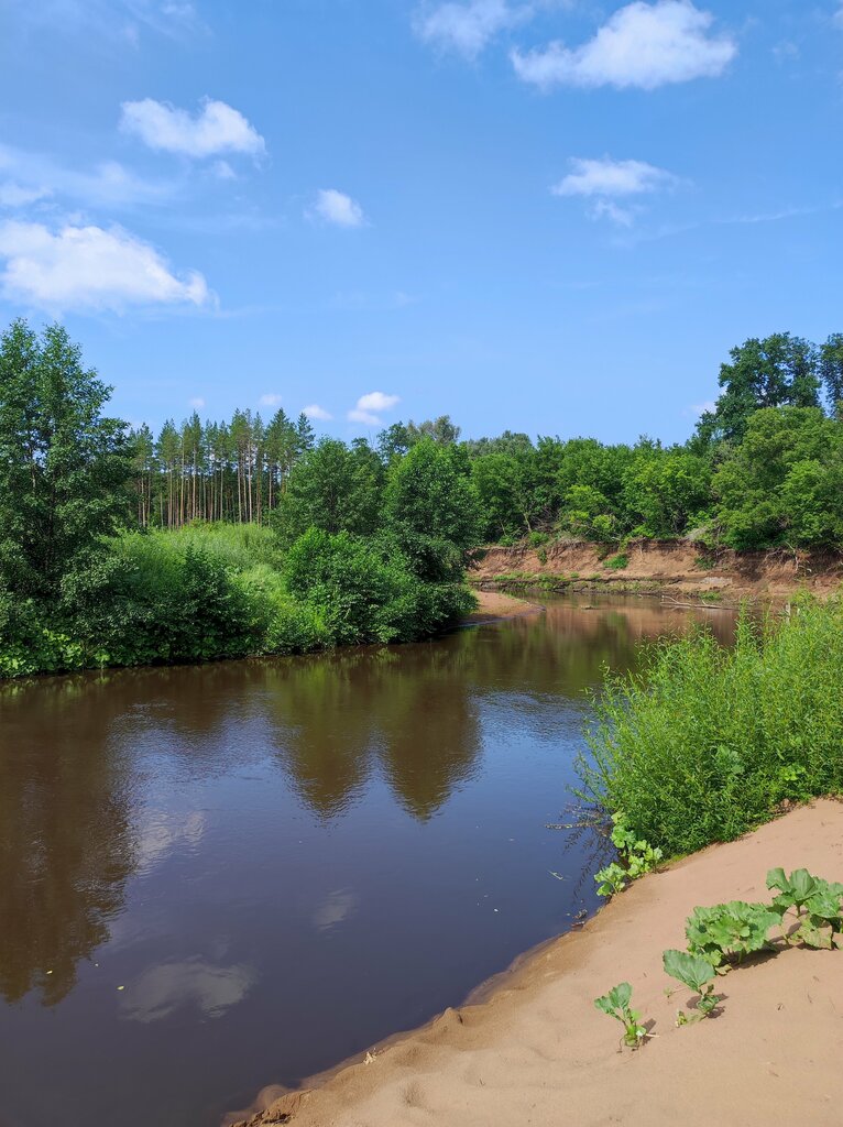 Resort oteller, tesisler База, дом отдыха, Orenburgskaya oblastı, foto