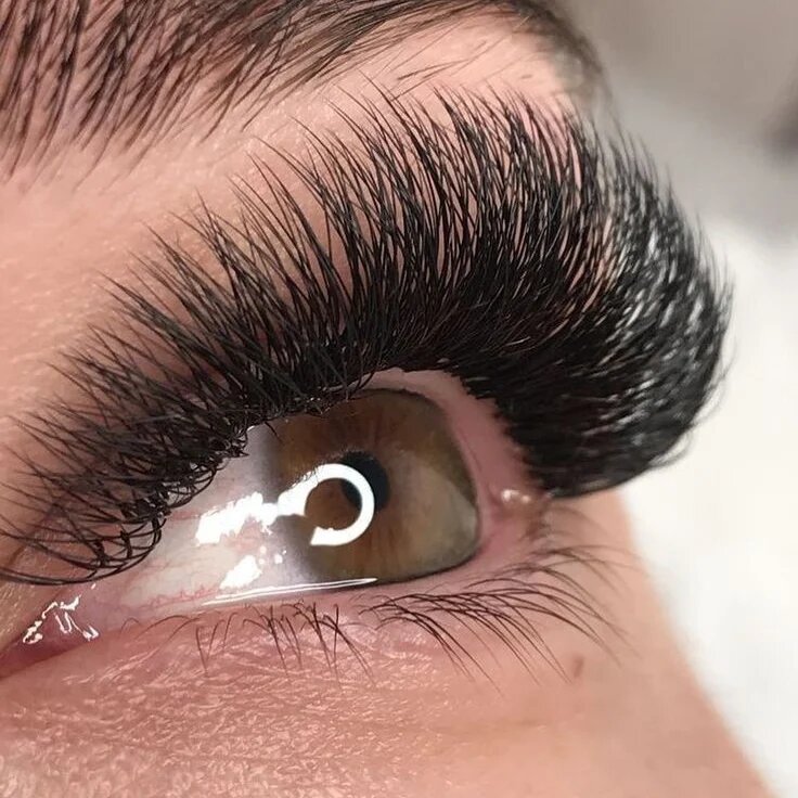 Kaş ve kirpik salonu Lash Hause, Novoçerkassk, foto