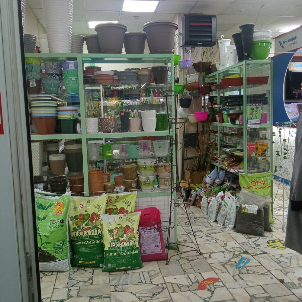 Tohum satan yerler Магазин семян, Krasnoyarsk, foto