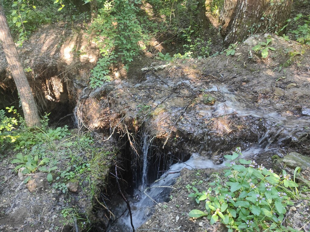 Pınar, çay Spring, stream, Kırım Cumhuriyeti, foto