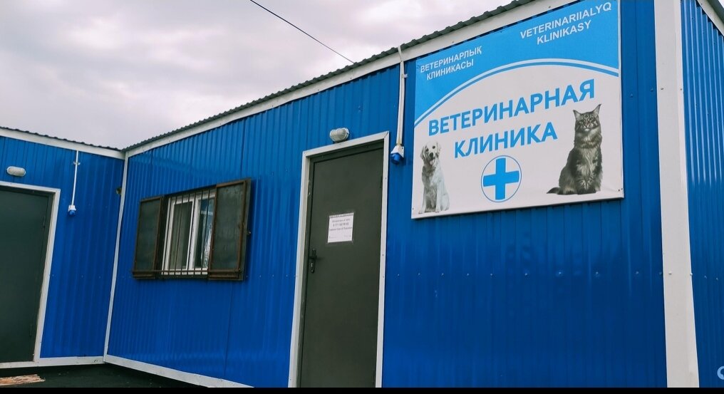 Veteriner klinikleri Veterinary Clinic, Aktöbe, foto