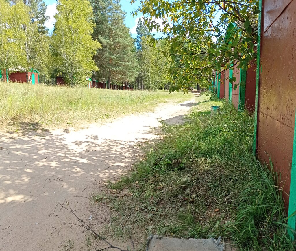 Yaz kampı Детский лагерь, Жемчужина, Zabaykalski krayı, foto