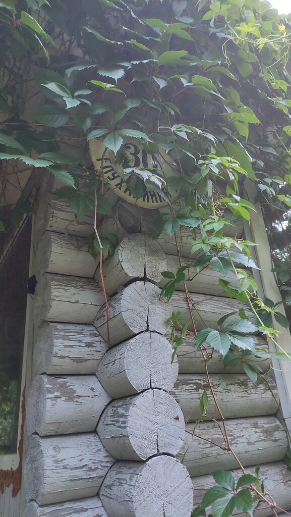 Çilingirler Galaxy Car, Saint‑Petersburg, foto