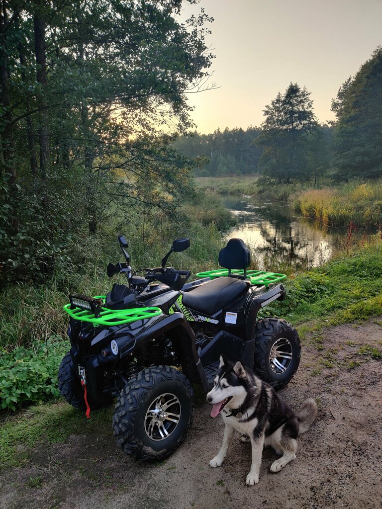 Motosiklet tamiri 5th_element, Pskovskaya oblastı, foto