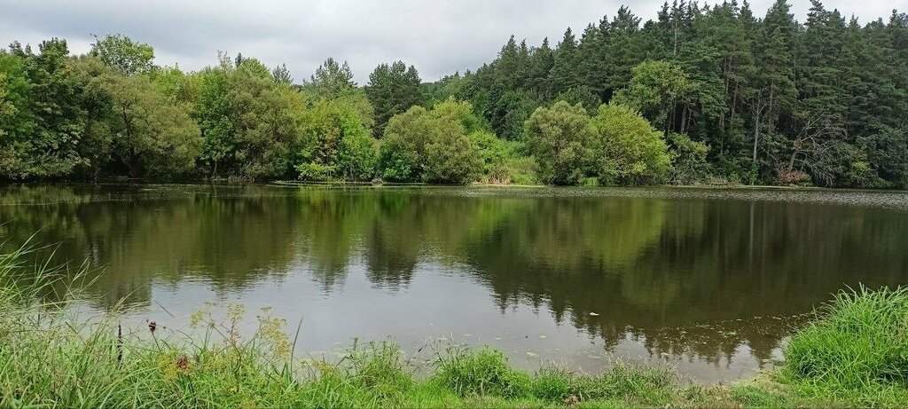 Orman урочище Становое, Belgorodskaya oblastı, foto