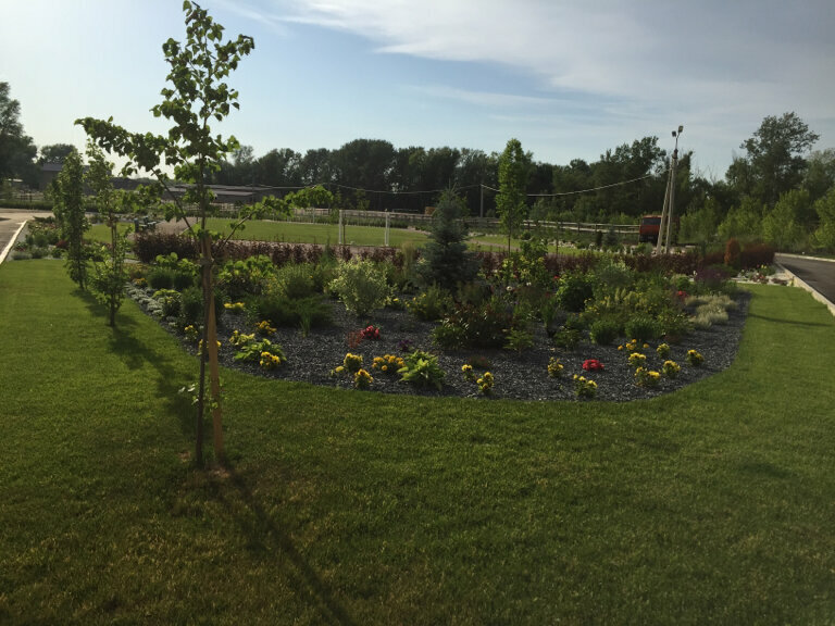 At ve binicilik kulüpleri Конезавод Аттика, Samarskaya oblastı, foto