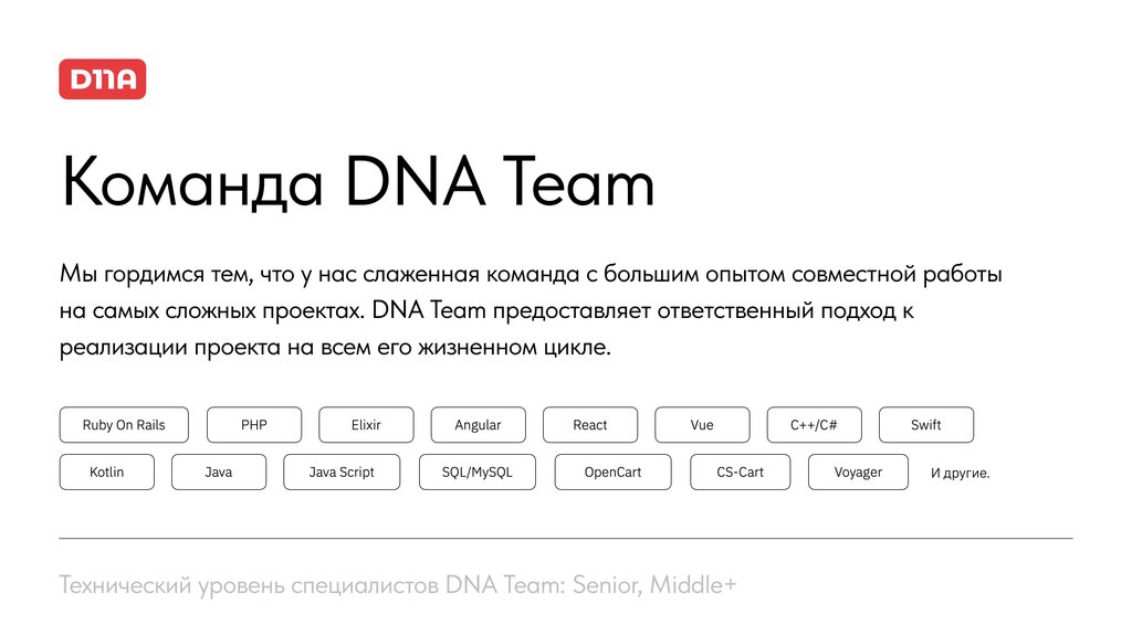 Bilişim firmaları Dna Team, Saint‑Petersburg, foto