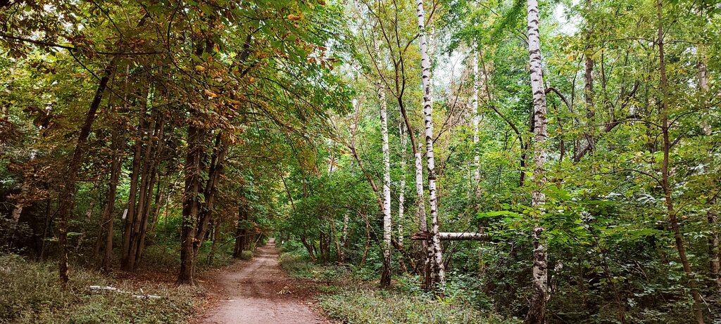 Kültür ve eğlence parkları Темерницкая роща, Rostov‑na‑Donu, foto