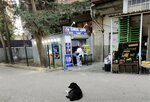 Саба (No:6, ubani Didi Digomi, III samezobloshi Didi Digomi), dondurmacılar  Tiflis'ten