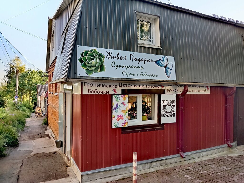 Hediyelik eşya mağazaları Живые подарки, Kaluga, foto