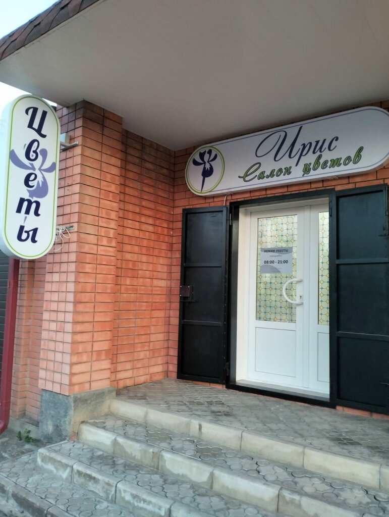 Çiçekçiler Ирис, Rostovskaya oblastı, foto