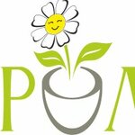 Ромашка (Izumrudnaya ulitsa No:31, khutor Nizhnetemernitskiy, kottedzhny posyolok Prilesny), çiçekçiler  Rostovskaya oblastından