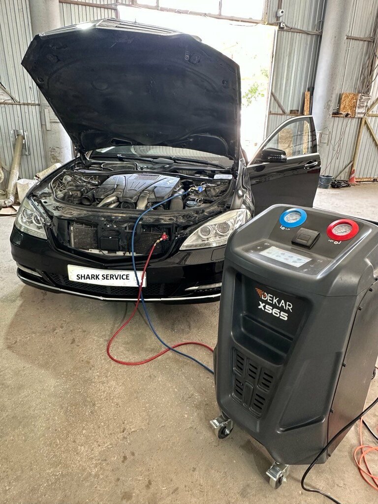 Otomobil servisi Shark Service, Sevastopol, foto