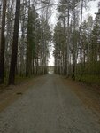 ДНТ Поселок Родник (Sverdlovsk Region, Yekaterinburg, DNT Rodnik), bahçecilik dernekleri ve kuruluşları  Yekaterinburg'dan