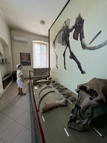 Müzeler ve sanat galerileri Museum-reserve Staraya Sarepta, Volgograd, foto