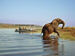 Cisongo Travel and Tours (Lusaka, Chila Road), uçak ve demiryolu biletleri  Lusaka'dan